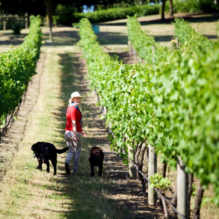 Member Benefits - Melba Wine Club